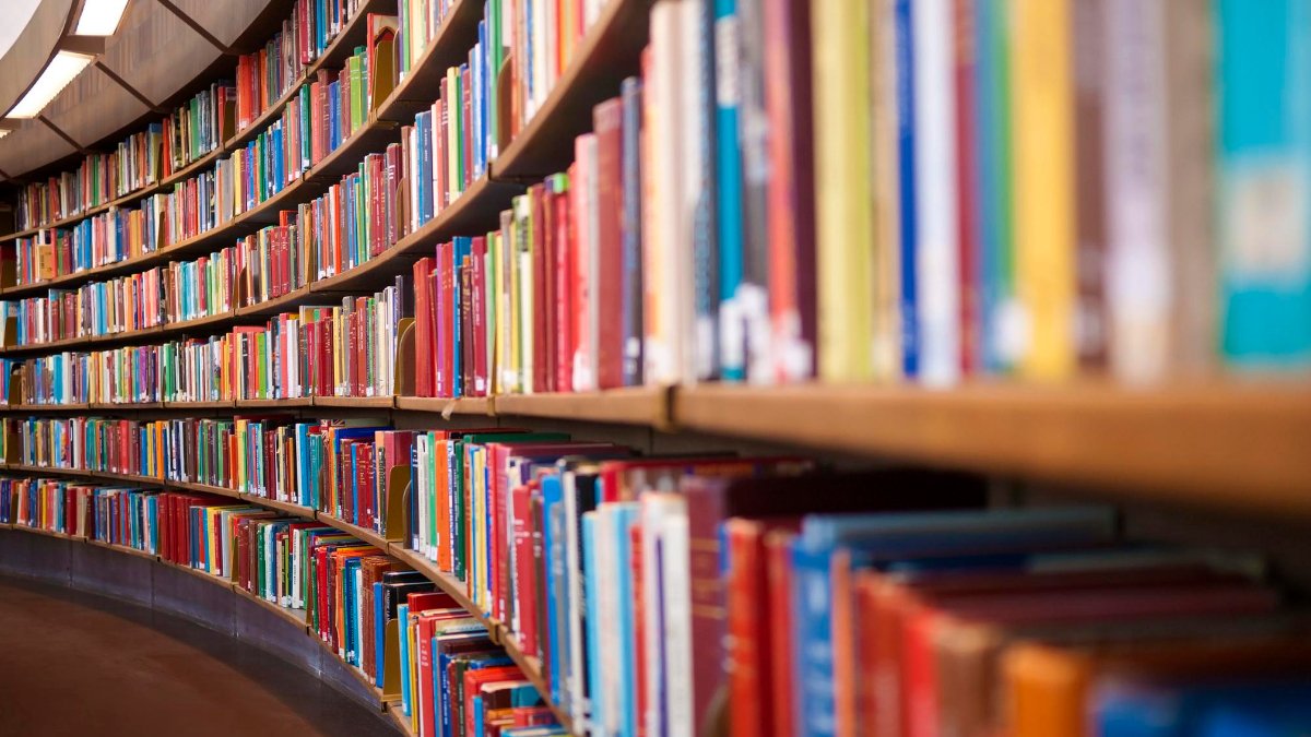 Quais são os livros de Edgar Allan Poe que você precisa ter na estante ...